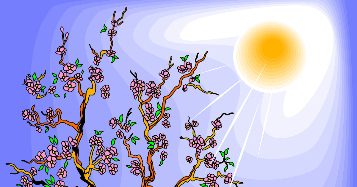 Фотосинтез — что это такое, его фазы и формула - Узнай Что Такое